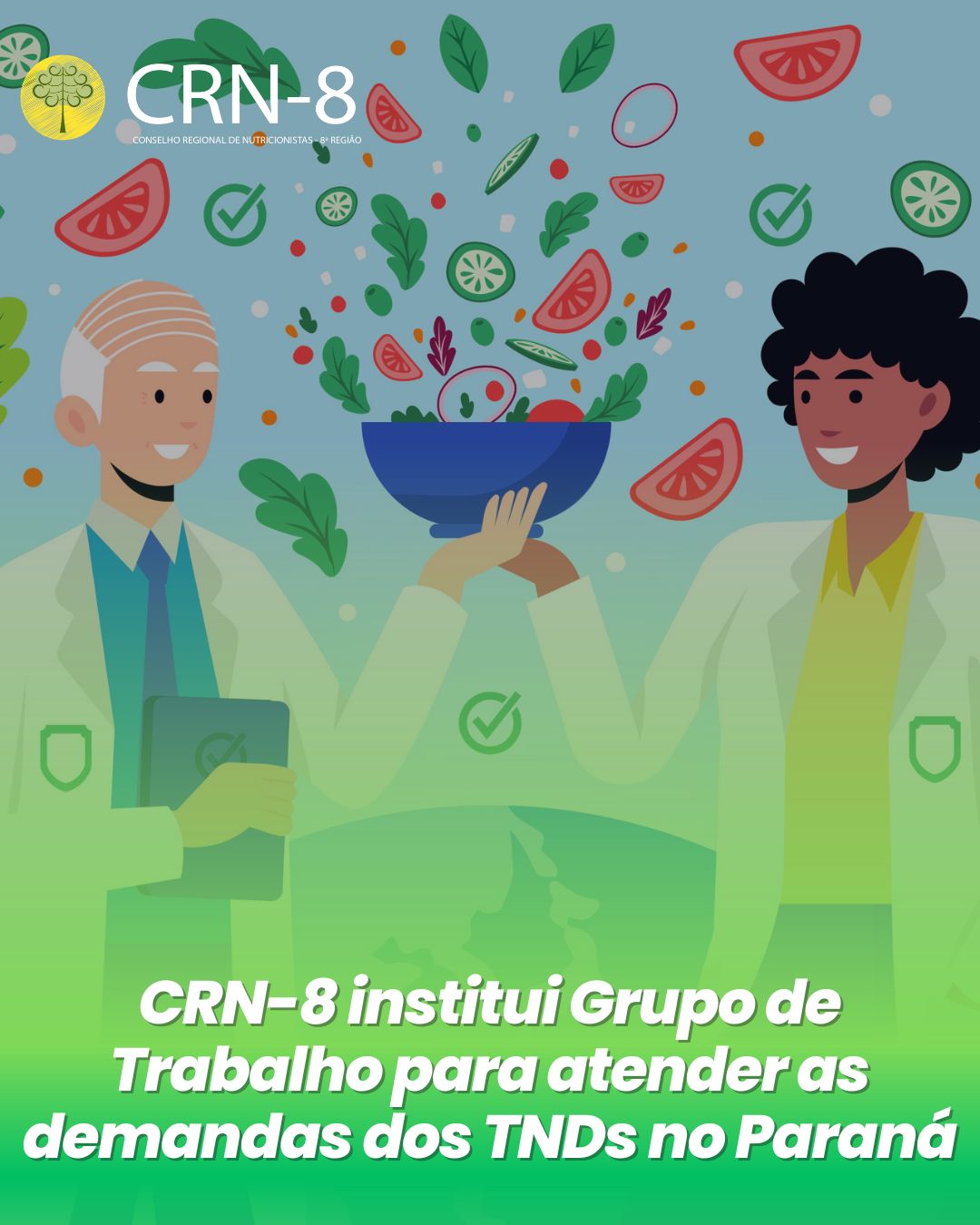 Crn 8 Institui Grupo De Trabalho Para Atender As Demandas Dos Tnds No